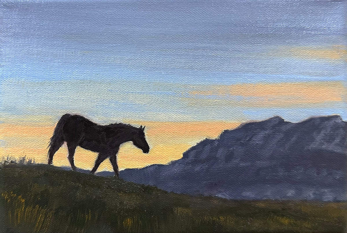 Michele Jenkinson – Western Skies Fine Art