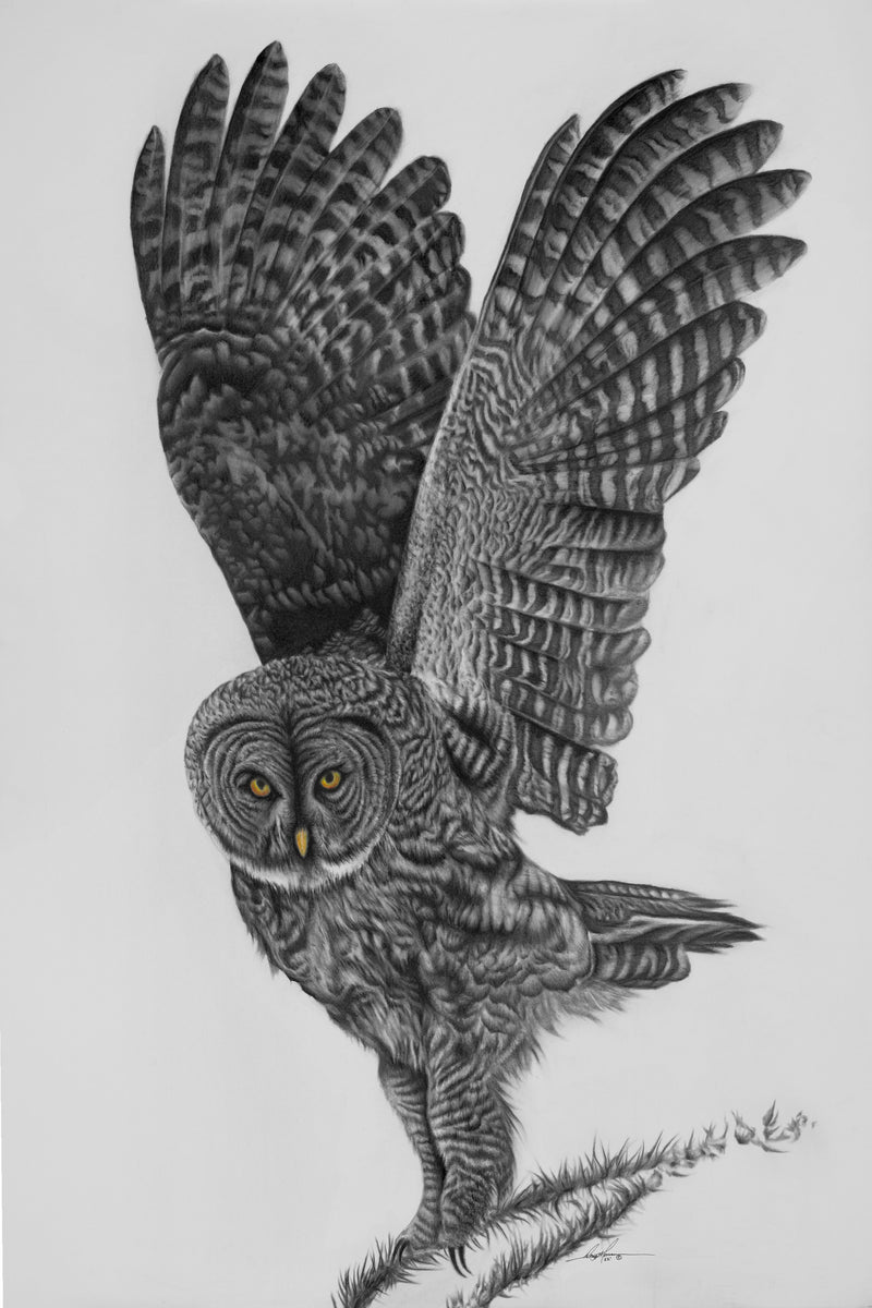 Doug Monson – Western Skies Fine Art